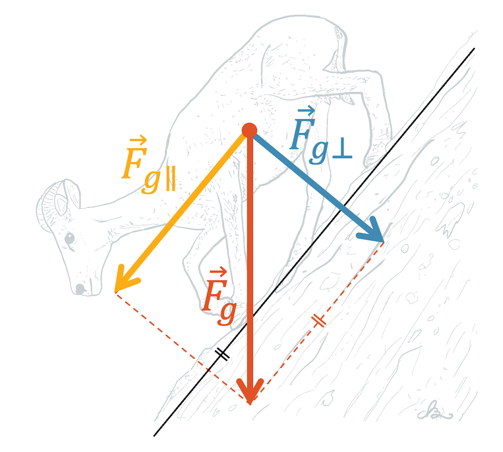 Kräfte zerlegen – sogehts.online – Physik & Mathe online lernen